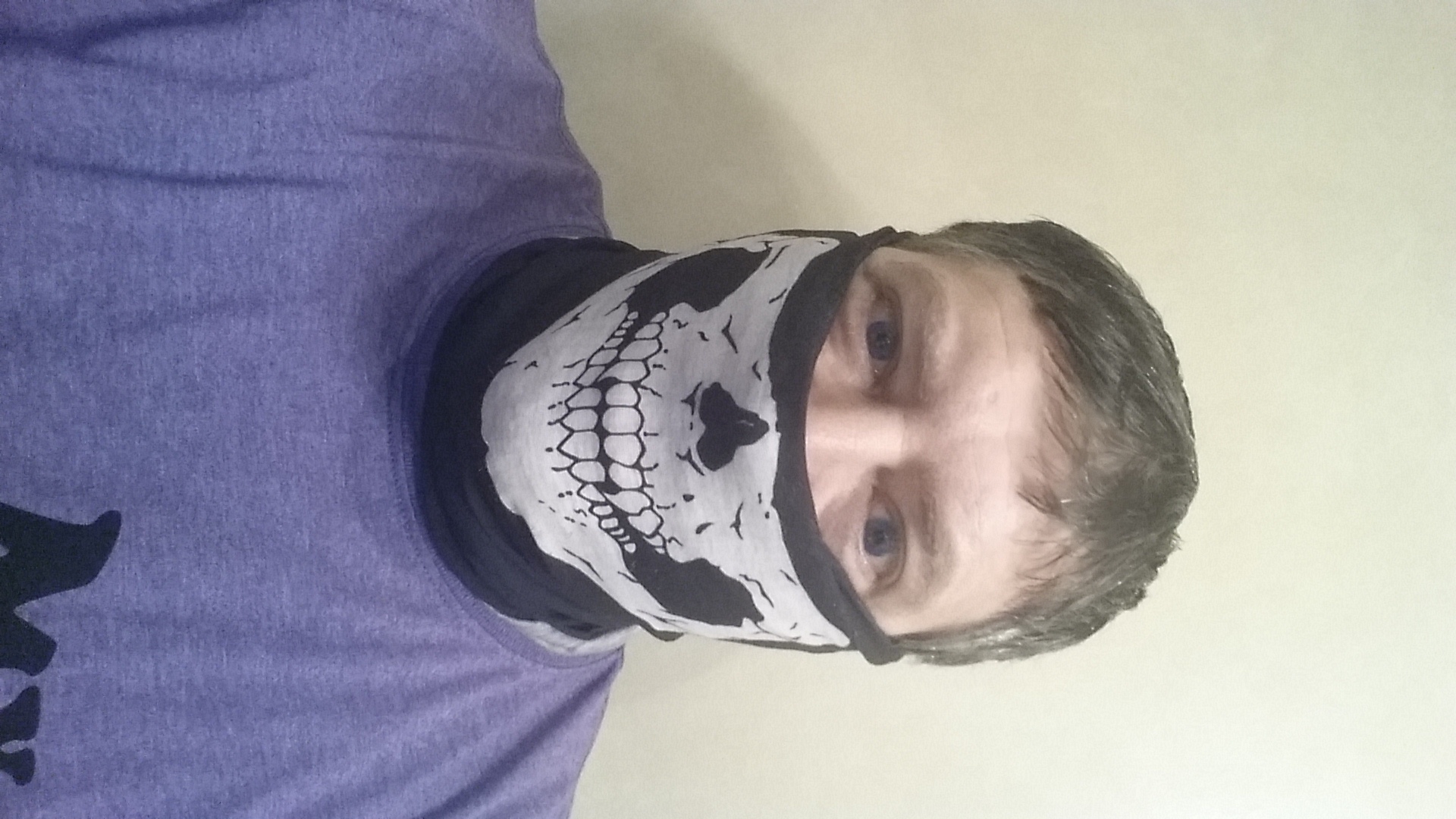 Skull Face Mask